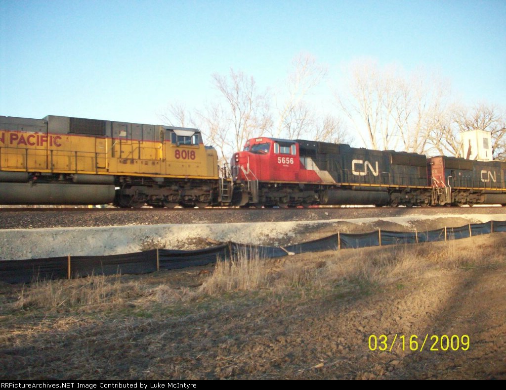 CN 5656